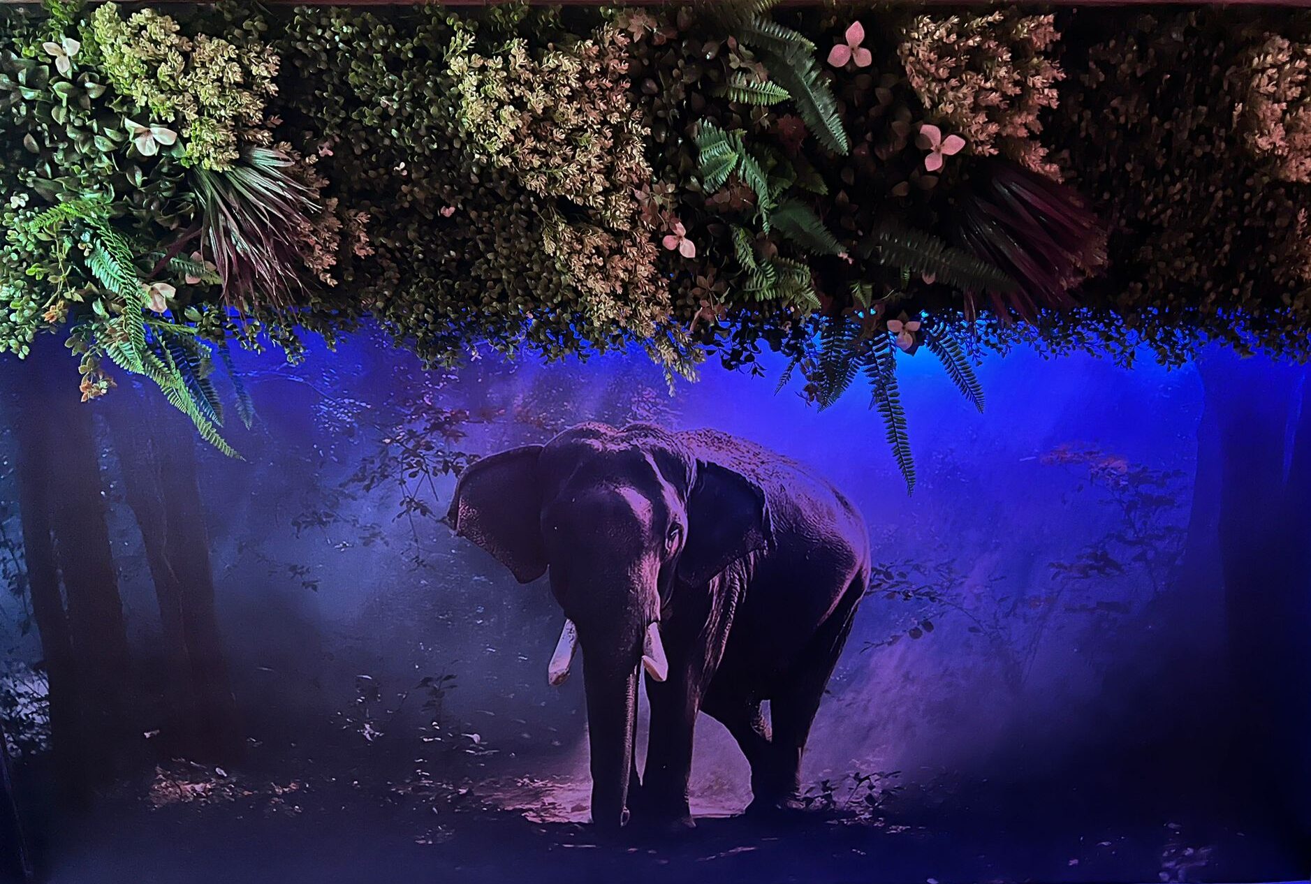 Fine Indian Restaurant in Bath | RootSpice